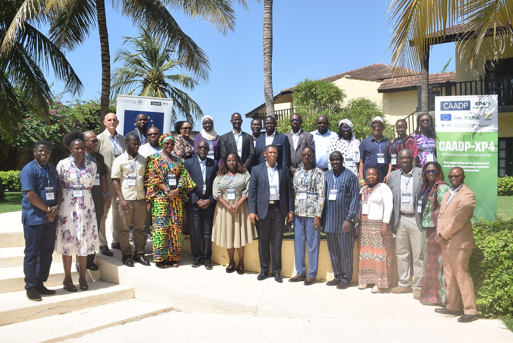 CAADP-XP4 Consortium Charts Course for Future Agricultural Development ...