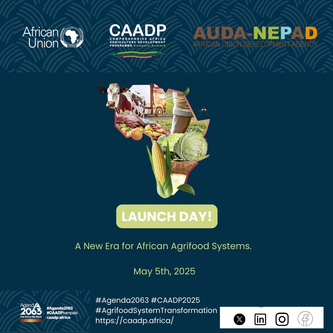 Africa Launches Bold CAADP Strategy (2026–2035) and Kampala Declaration ...
